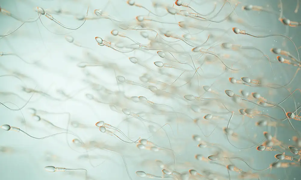 Everything You Need to Know About Semen Analysis Test | Suburban ...